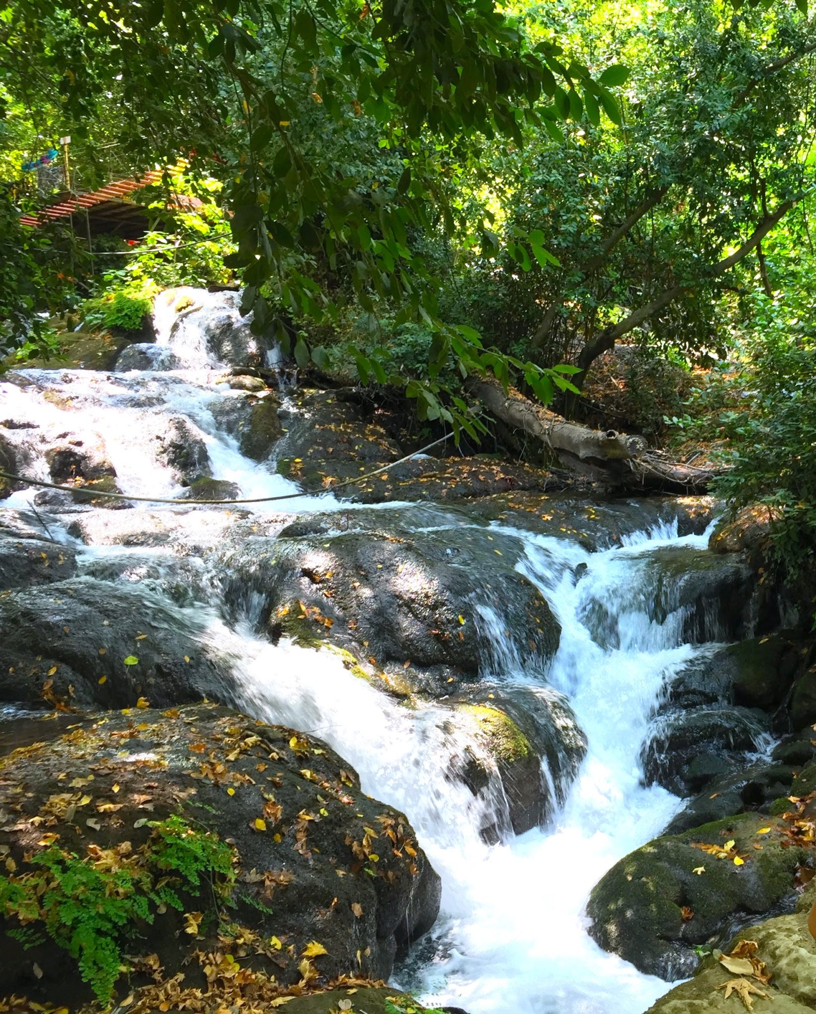 12 Amazing Things to Do in Cirali Turkey - Tripomom