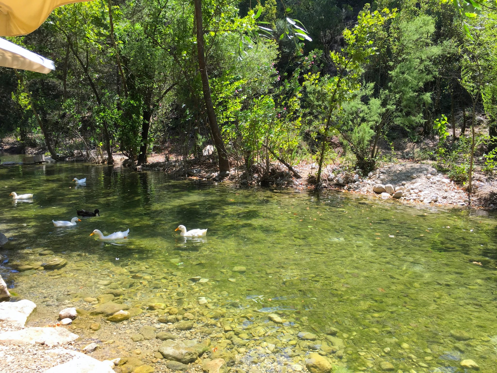 12 Amazing Things to Do in Cirali Turkey - Tripomom